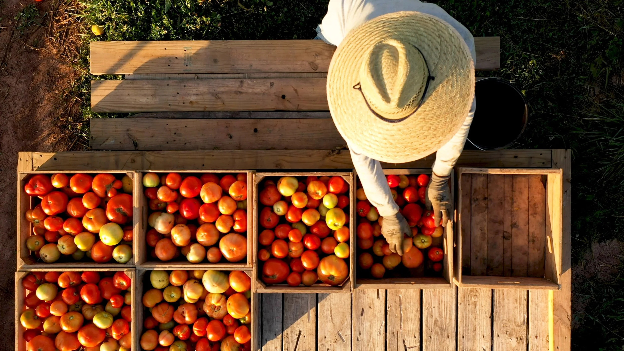 Repost: Reforming harmful subsidies to protect biodiversity: an ...